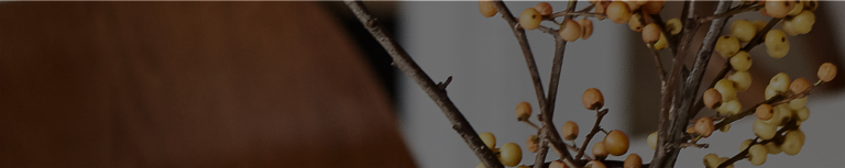 Business Management Software For Designers | Ivy